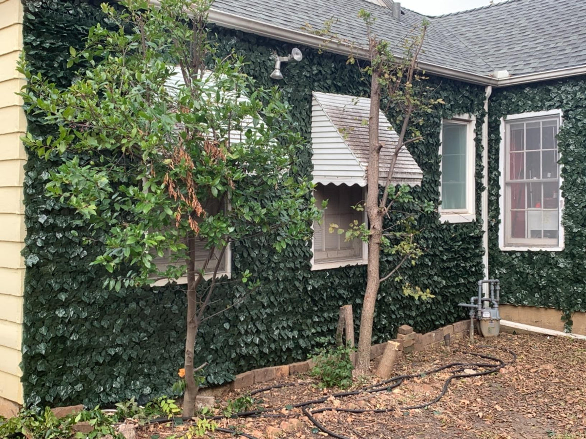 Artificial Ivy Hedge Rolls | ColourTree